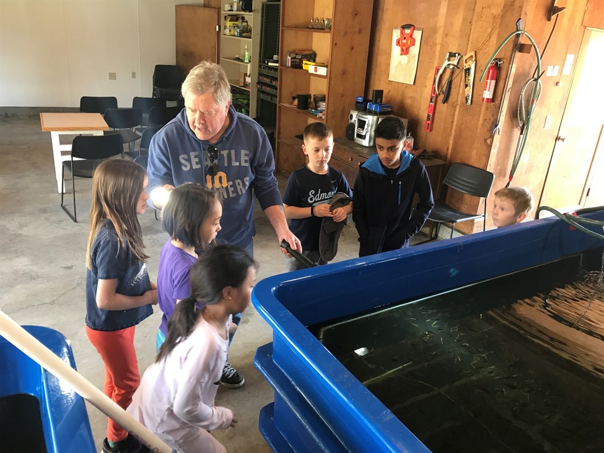Fish Hatchery and Environmental Education Center – City of Lynnwood