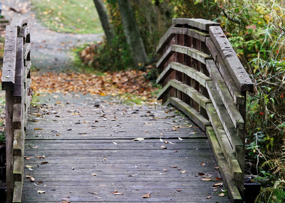 Scriber Creek Park – City of Lynnwood